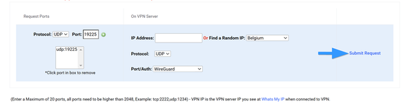 More Fun with Gluetun: How to Use VPN Port Forwarding