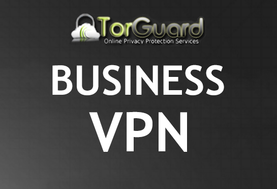 TorGuard Adds Business VPN Services